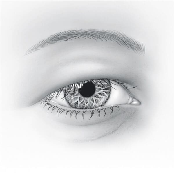 Droopy Eyebrows and Brow Lift Surgery | Oculofacial Society