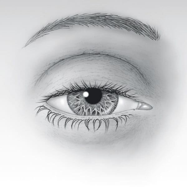 Droopy Eyelids (Blepharoptosis or Eyelid Ptosis) | Oculofacial Society