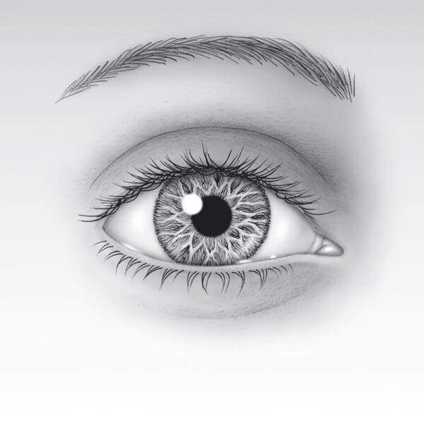 Surgical Eye Removal (Enucleation & Evisceration) | Oculofacial Society